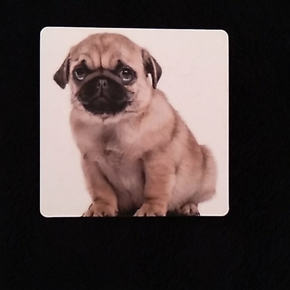 Other | New Magnet Pug | Poshmark